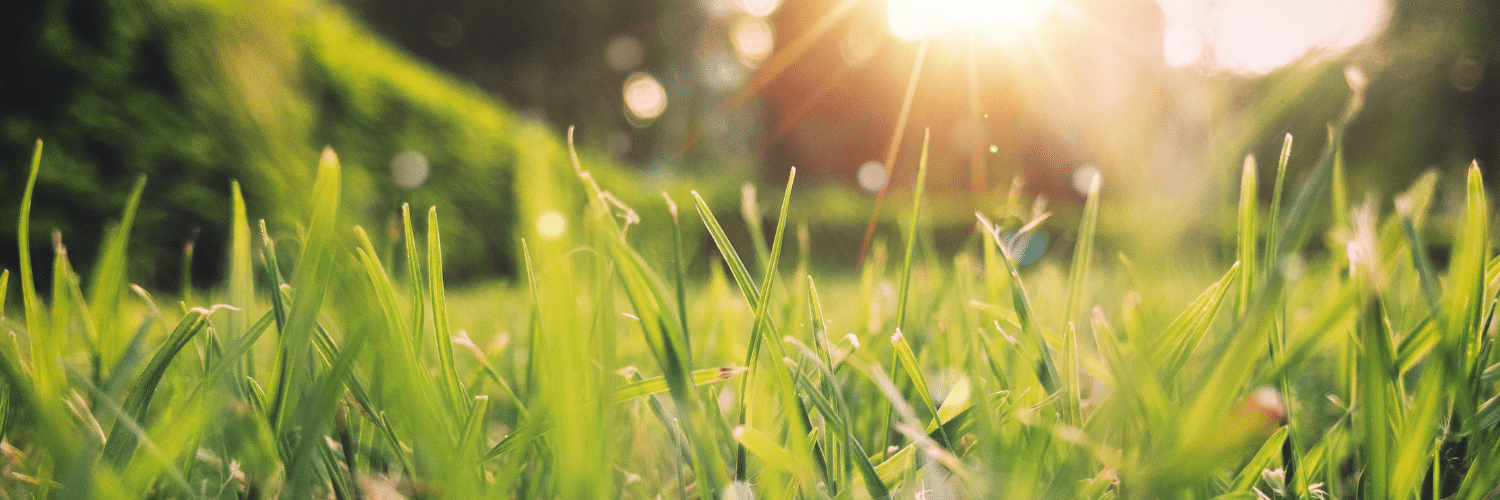 Eco Church - An A Rocha UK Project